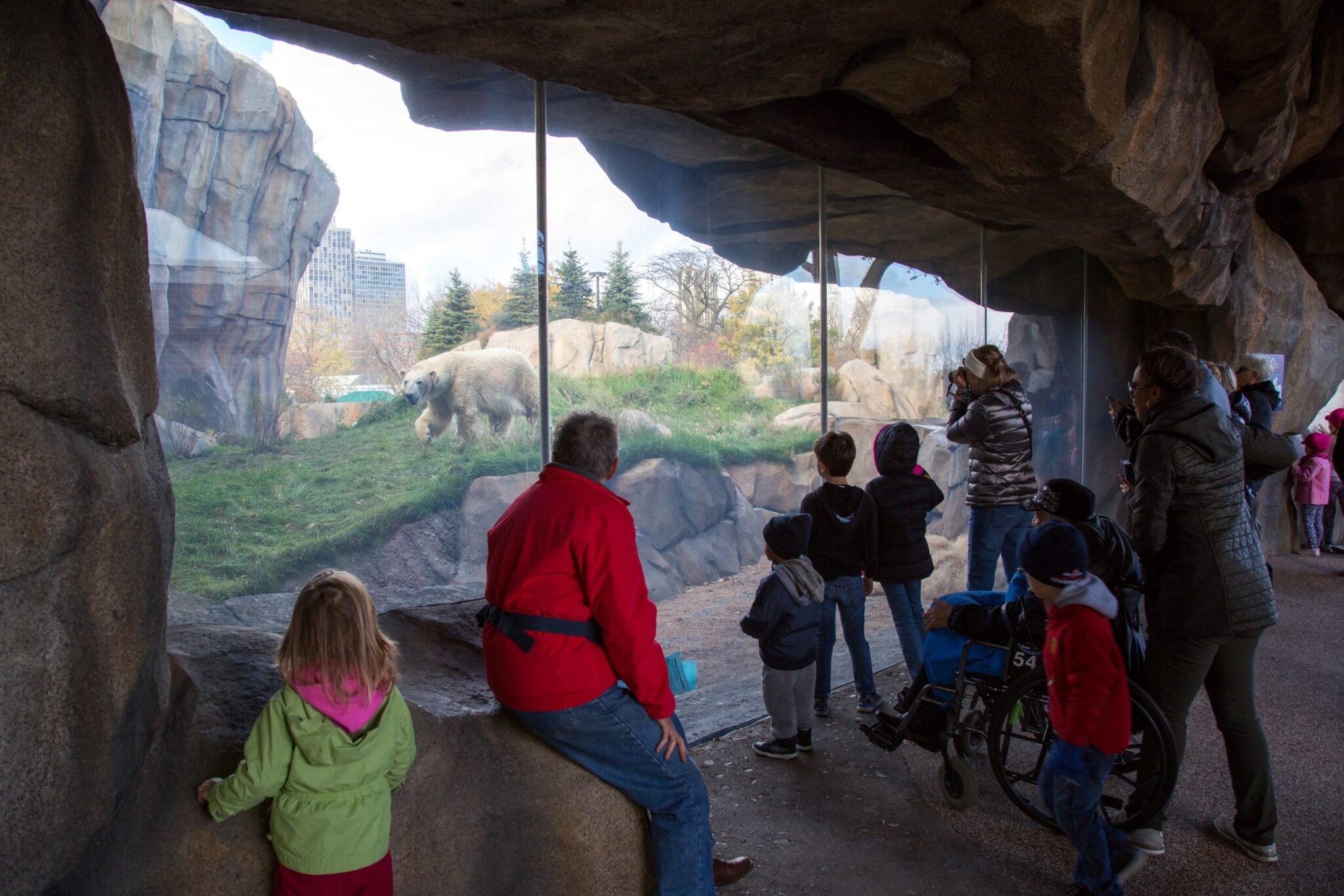 Answering Your Most Frequently Asked Zoo Questions | Lincoln Park Zoo