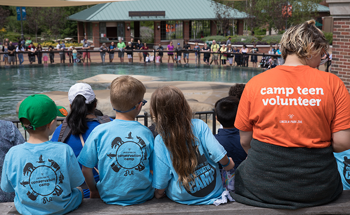 Zoo Camps - Lincoln Park Zoo