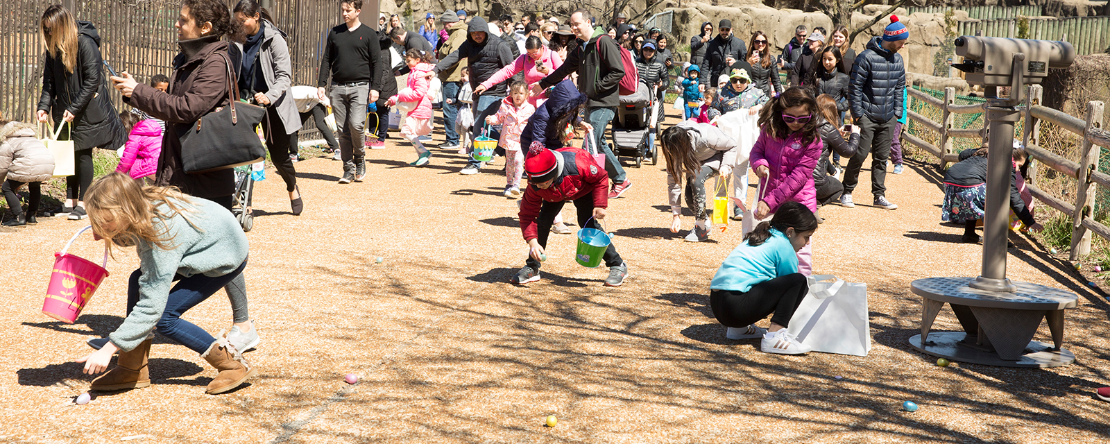Wildlife Experience in the Heart of Chicago - Lincoln Park Zoo