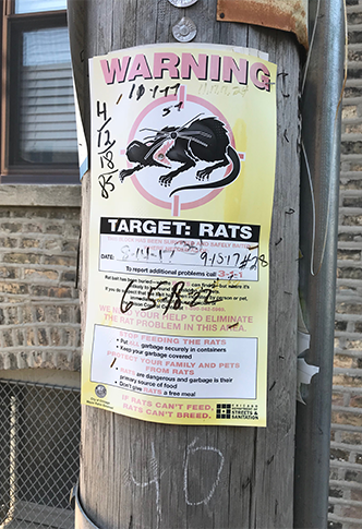 Surprising Science: Rattiest City? - Lincoln Park Zoo