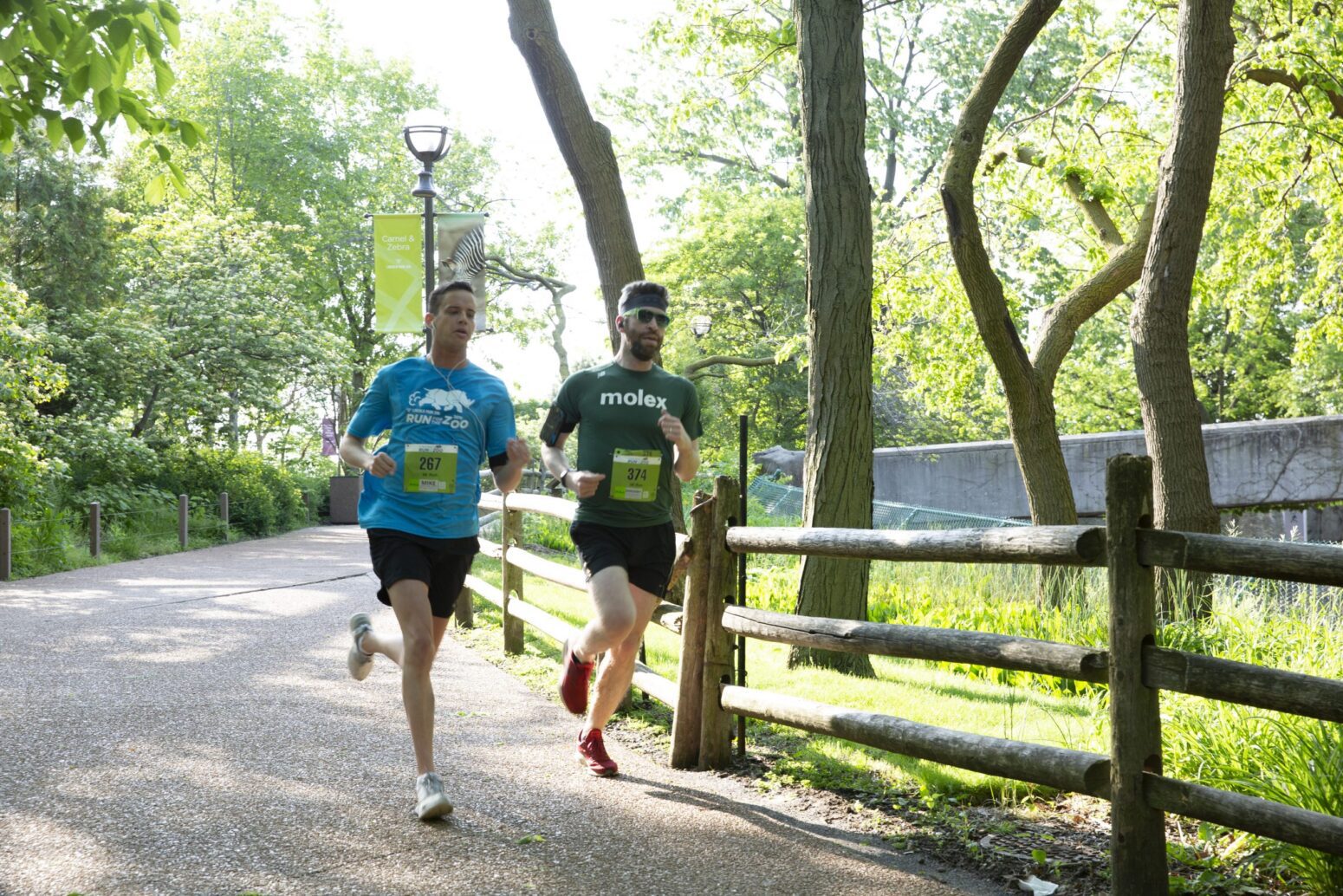 Don’t Hippopota-miss Lincoln Park Zoo’s Annual Run for the Zoo in ...