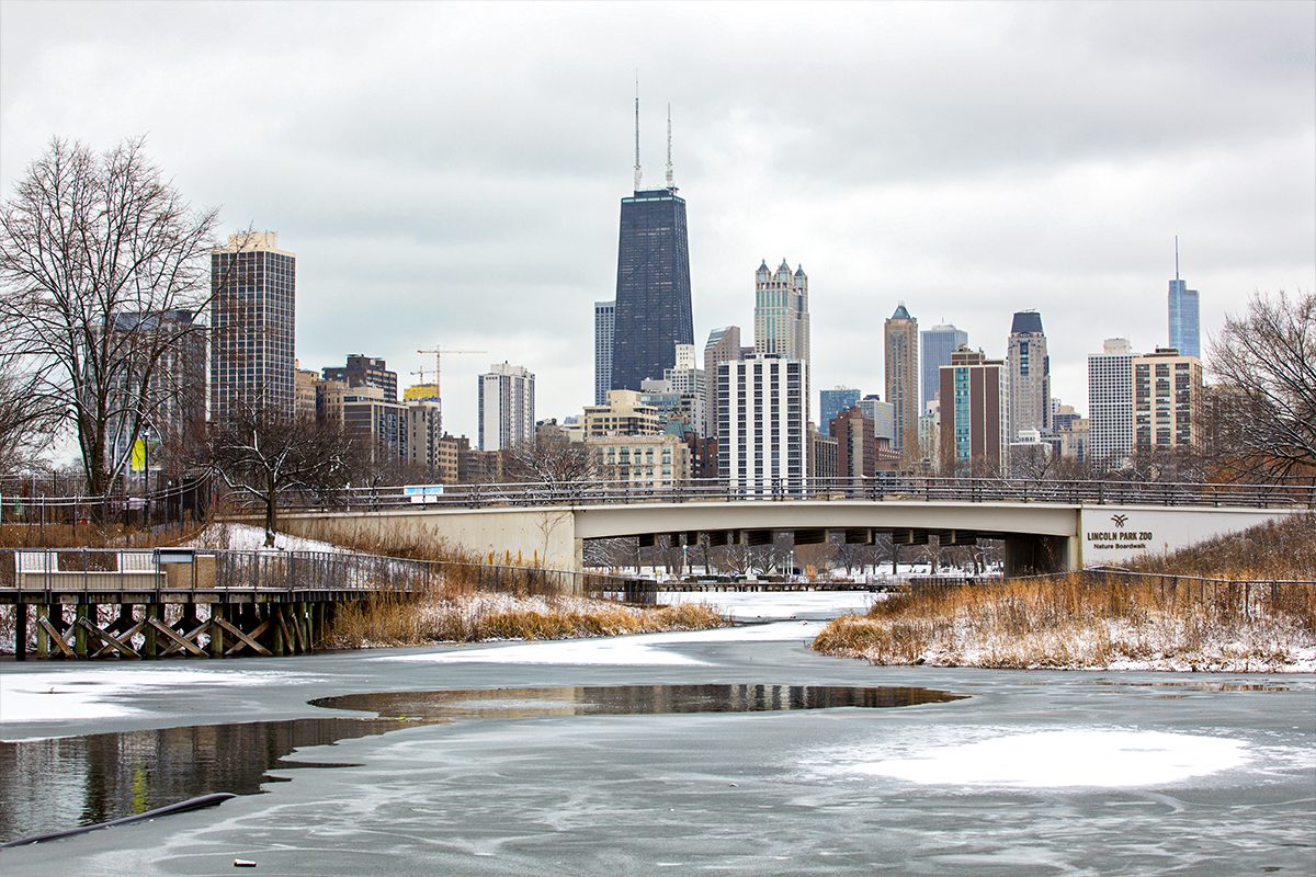 Top 10 Reasons to Visit the Zoo in Winter | Lincoln Park Zoo