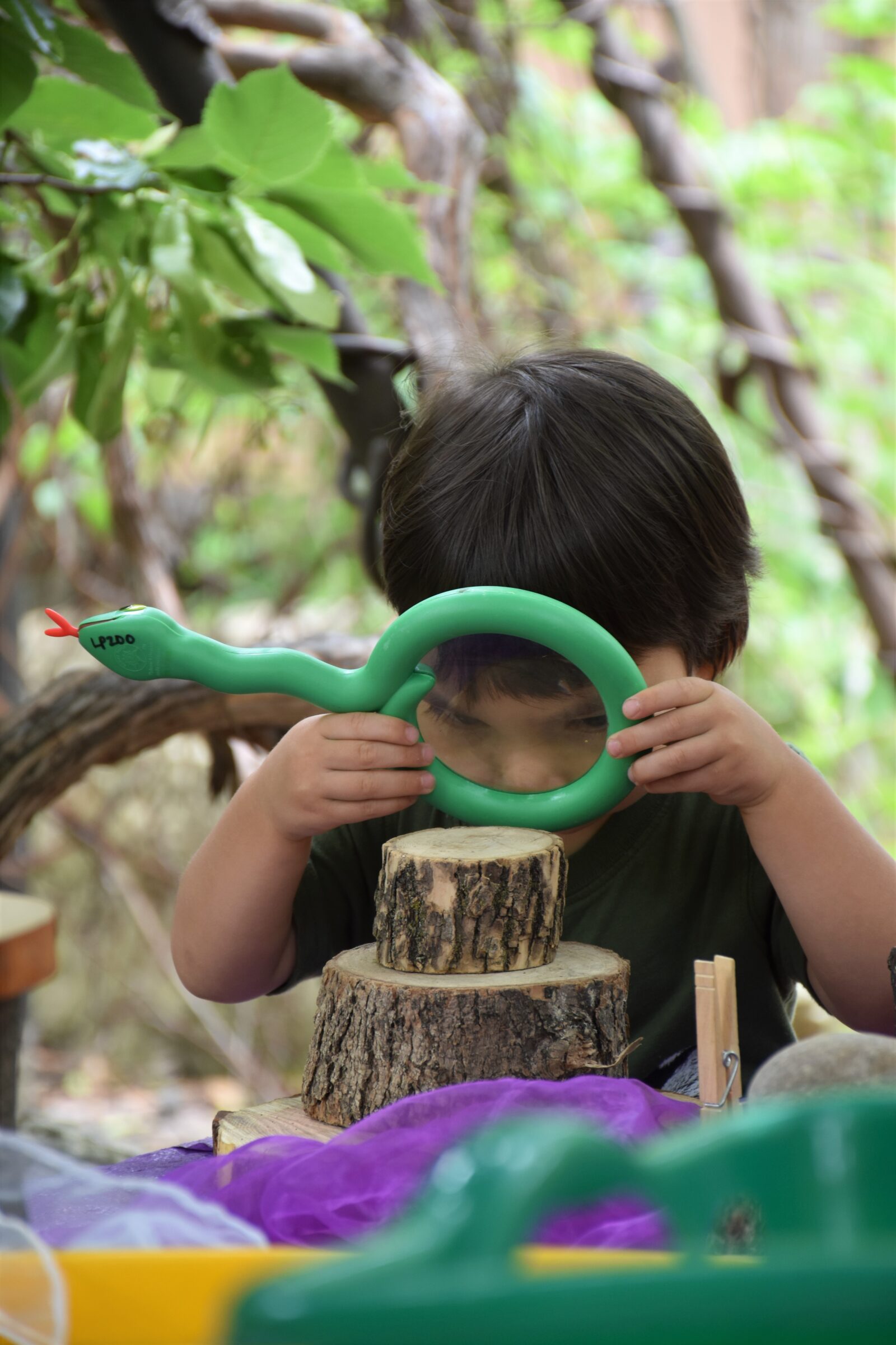 Play! at Farm-in-the-Zoo | Lincoln Park Zoo