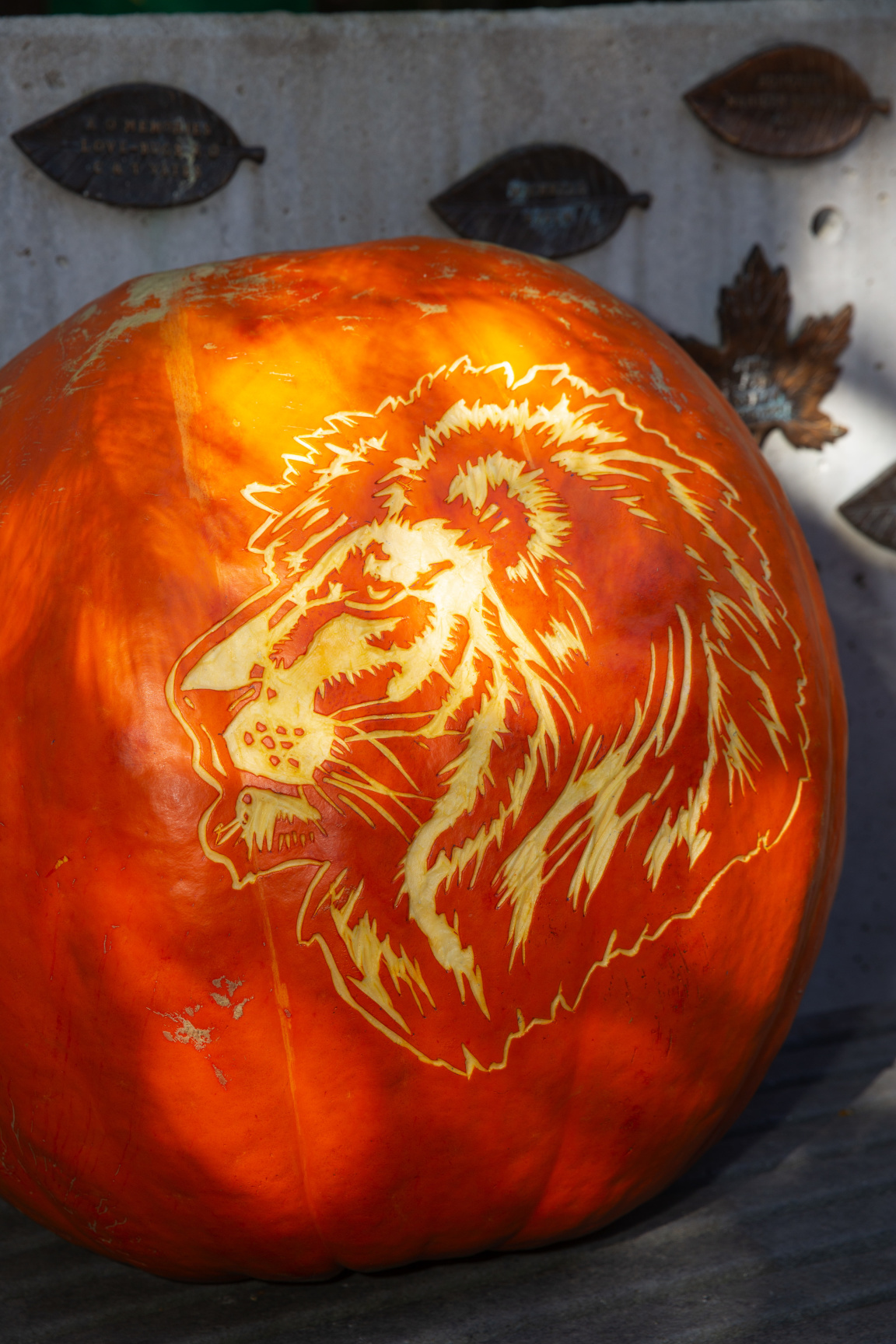 Fall Fest | Lincoln Park Zoo