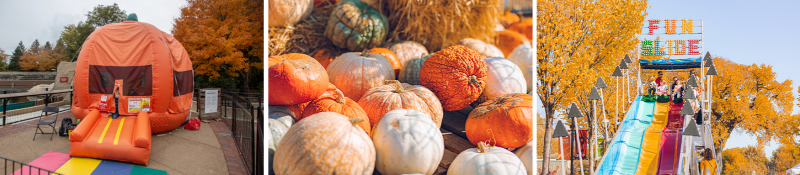 Fall Fest | Lincoln Park Zoo