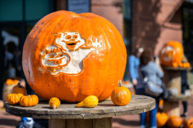 Fall Fest | Lincoln Park Zoo