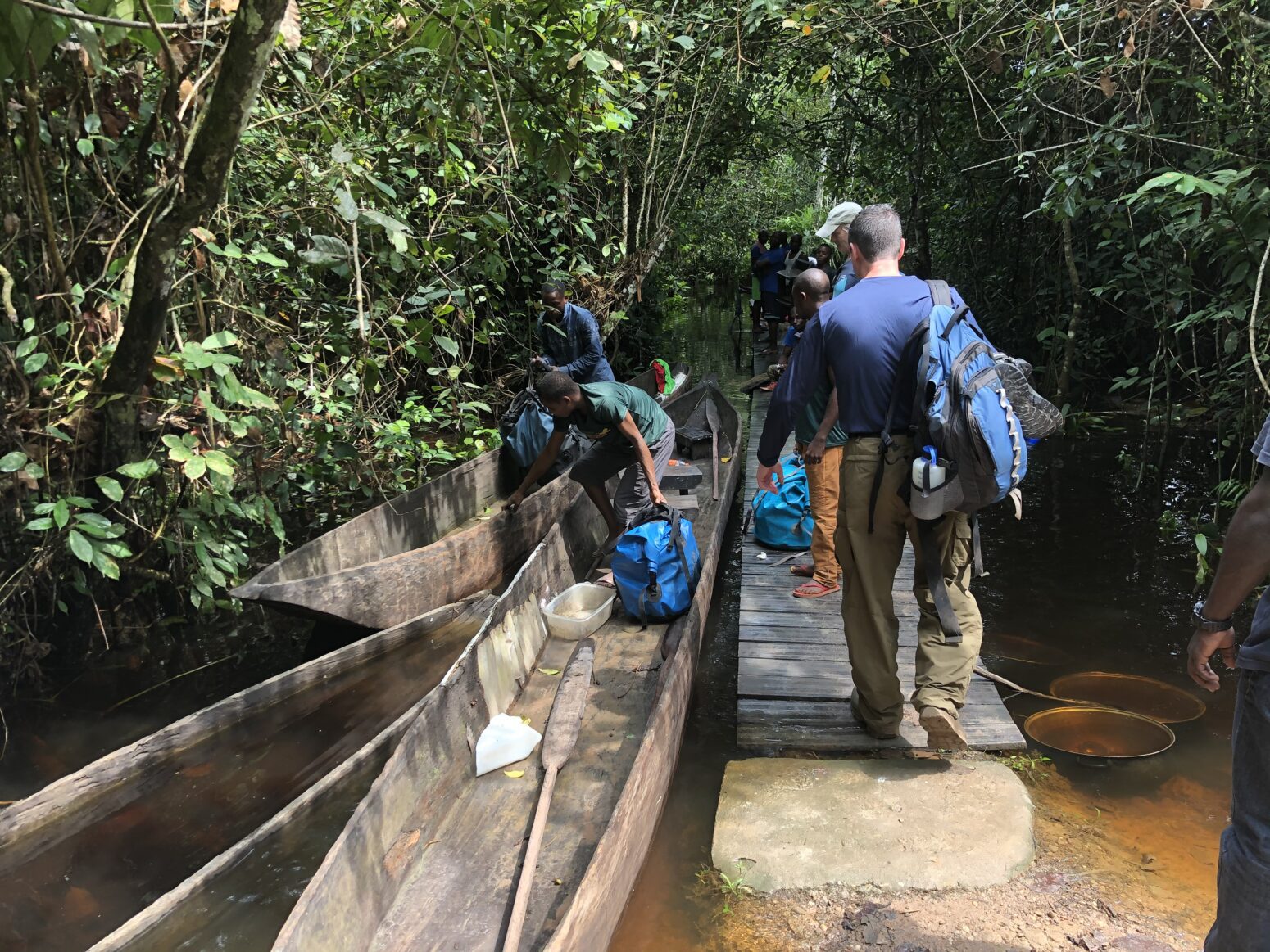 Collaborative Discovery in the Congo | Lincoln Park Zoo