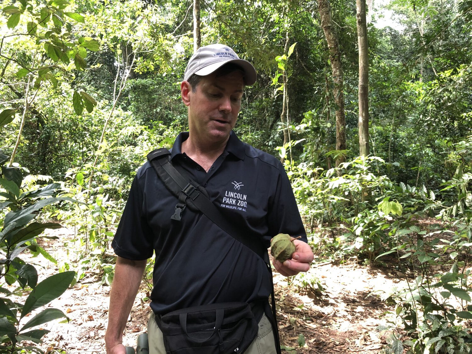 Making Connections from the Congo to Chicago | Lincoln Park Zoo