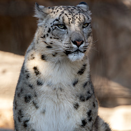 Wish List | Lincoln Park Zoo