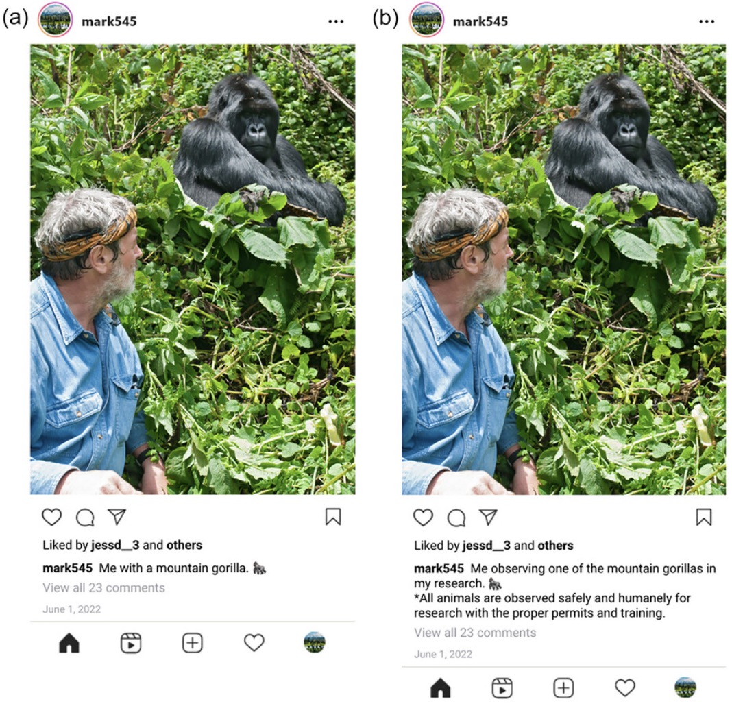 Exploring Social Media's Role in Primate Protection | Lincoln Park Zoo