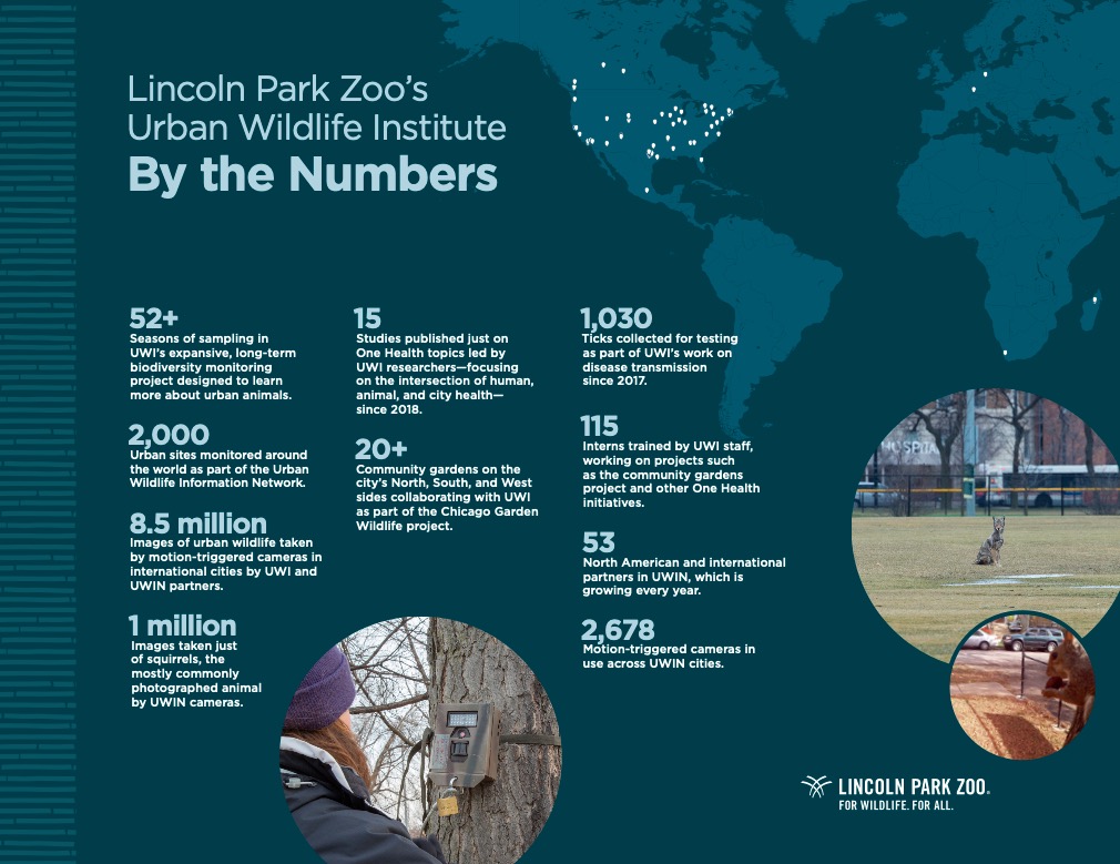 Urban Wildlife Institute 101 | Lincoln Park Zoo
