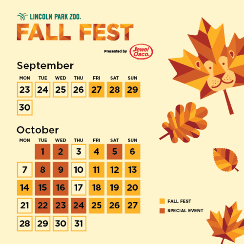 Fall Fest | Lincoln Park Zoo