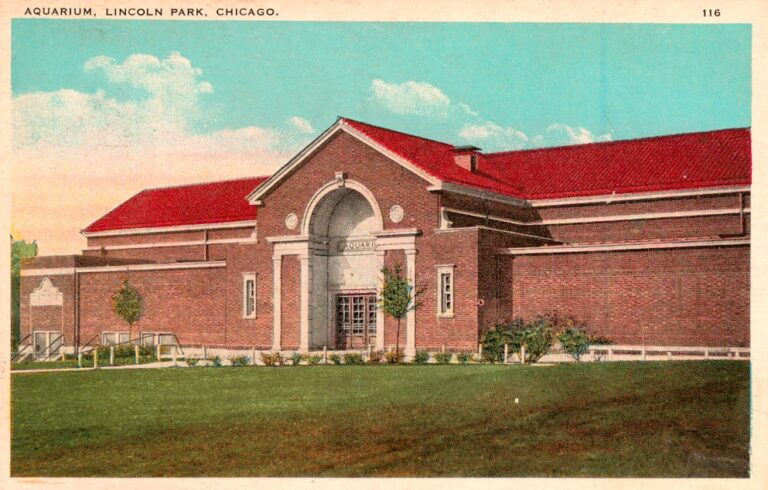 15 Things You Didn't Know About Lincoln Park Zoo | Lincoln Park Zoo