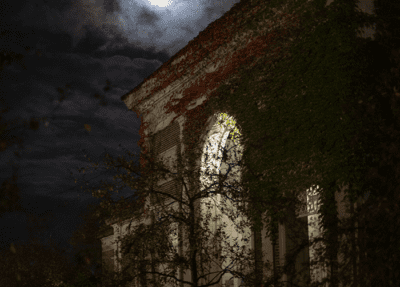 Fall Fest | Lincoln Park Zoo