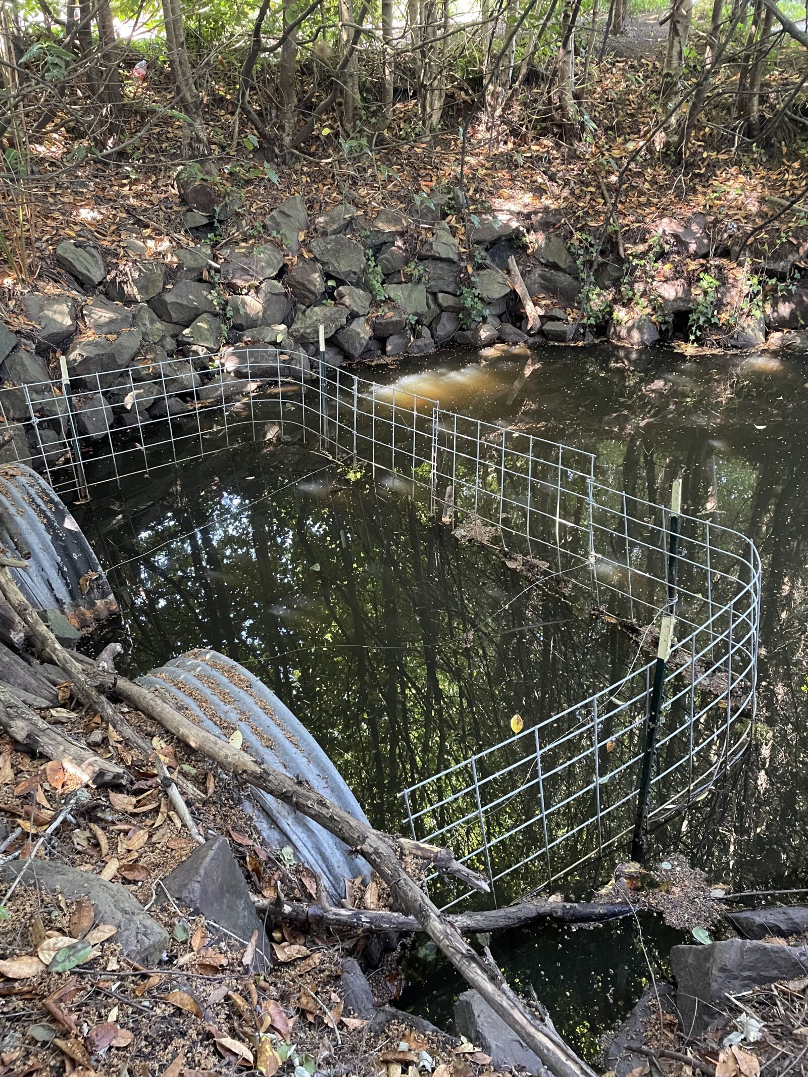Keeper Tale: Working With Beavers Northwest | Lincoln Park Zoo