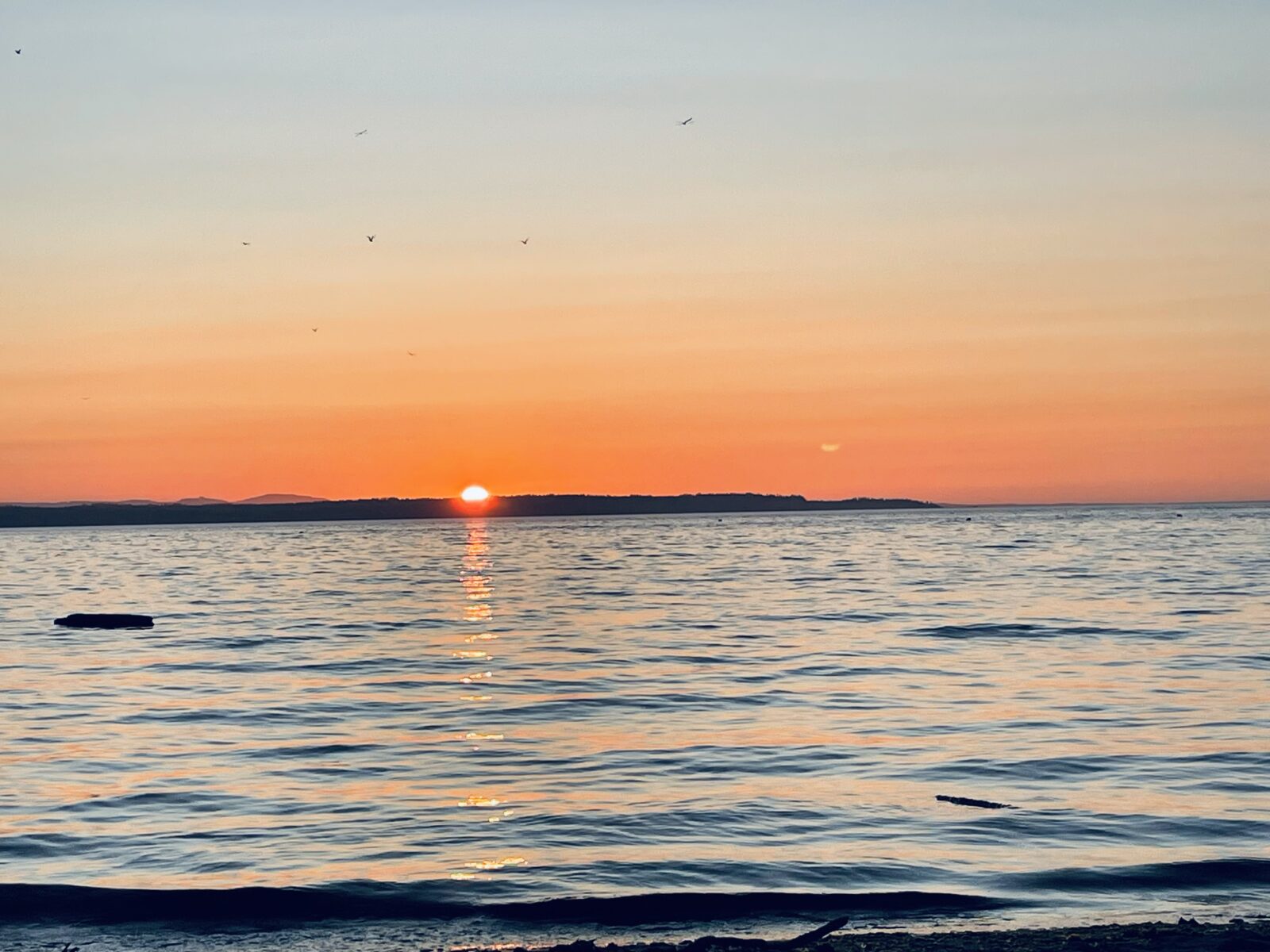 Keeper Tale: Working With Beavers Northwest | Lincoln Park Zoo