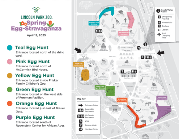 Spring Egg-Stravaganza | Lincoln Park Zoo