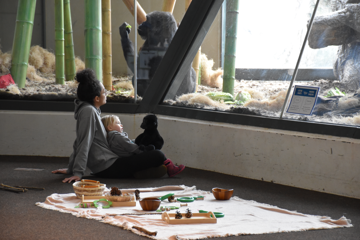 Wildlife Experience in the Heart of Chicago | Lincoln Park Zoo