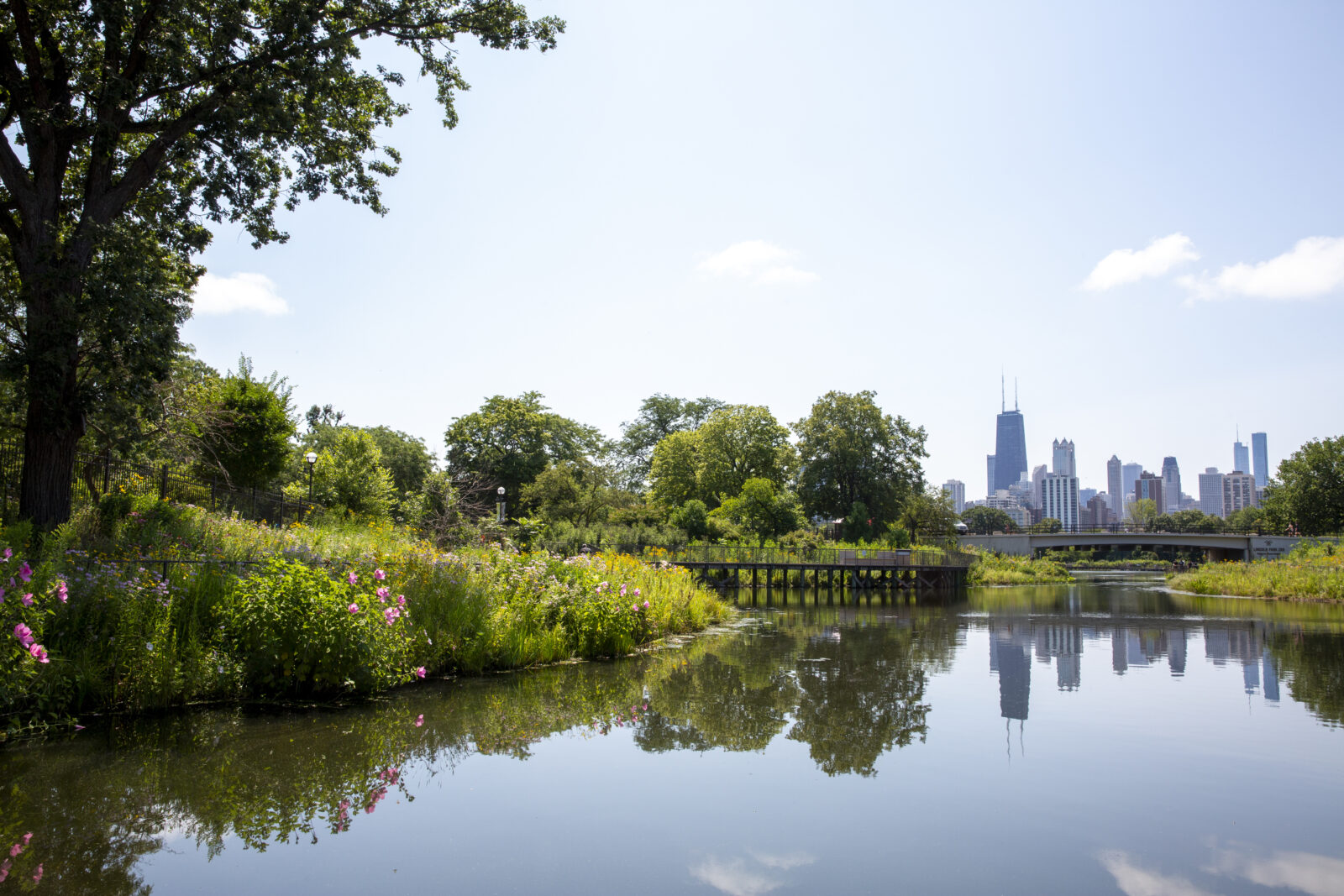 Rewilding at Lincoln Park Zoo: Informing Reintroductions, Protecting ...