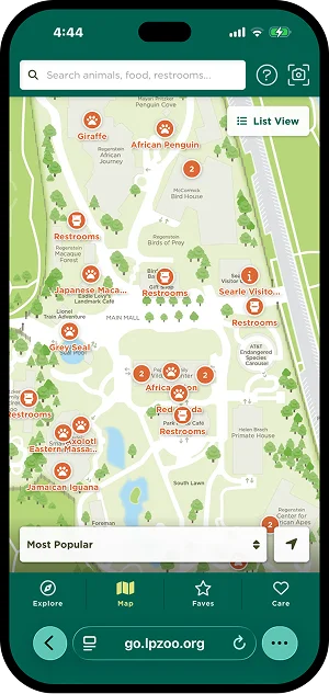 Wildlife Experience in the Heart of Chicago | Lincoln Park Zoo